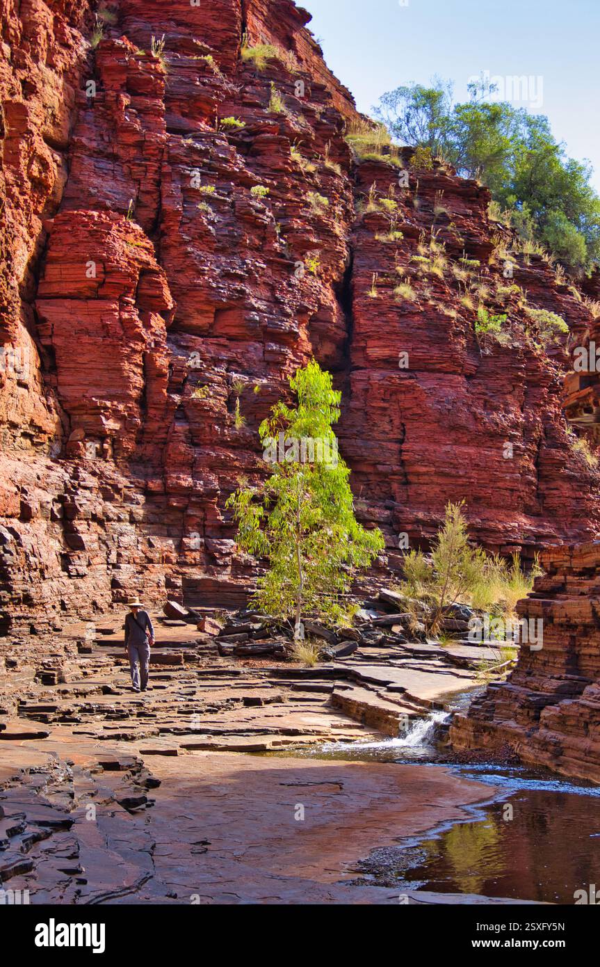 Woman hiking in the narrow red rock canyon of the Kalamina Gorge ...