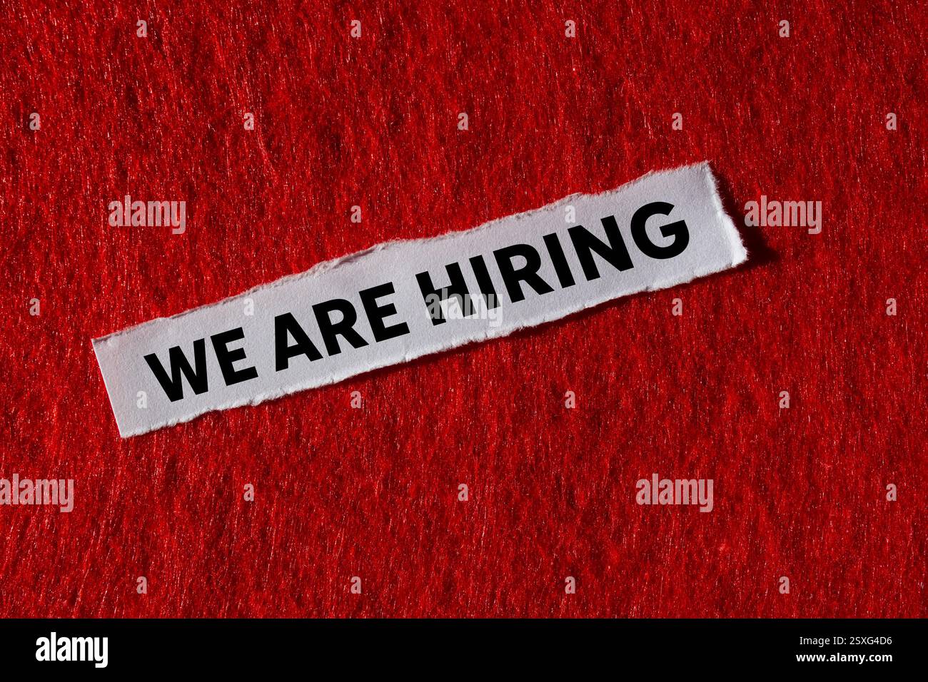 We are hiring message written on ripped torn paper piece on red background. Conceptual we are ...