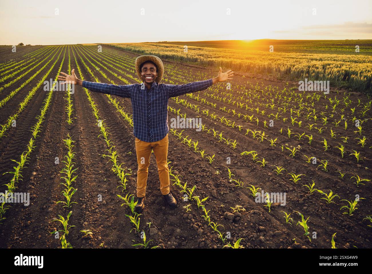 African farmer is standing in his growing corn field with arms ...