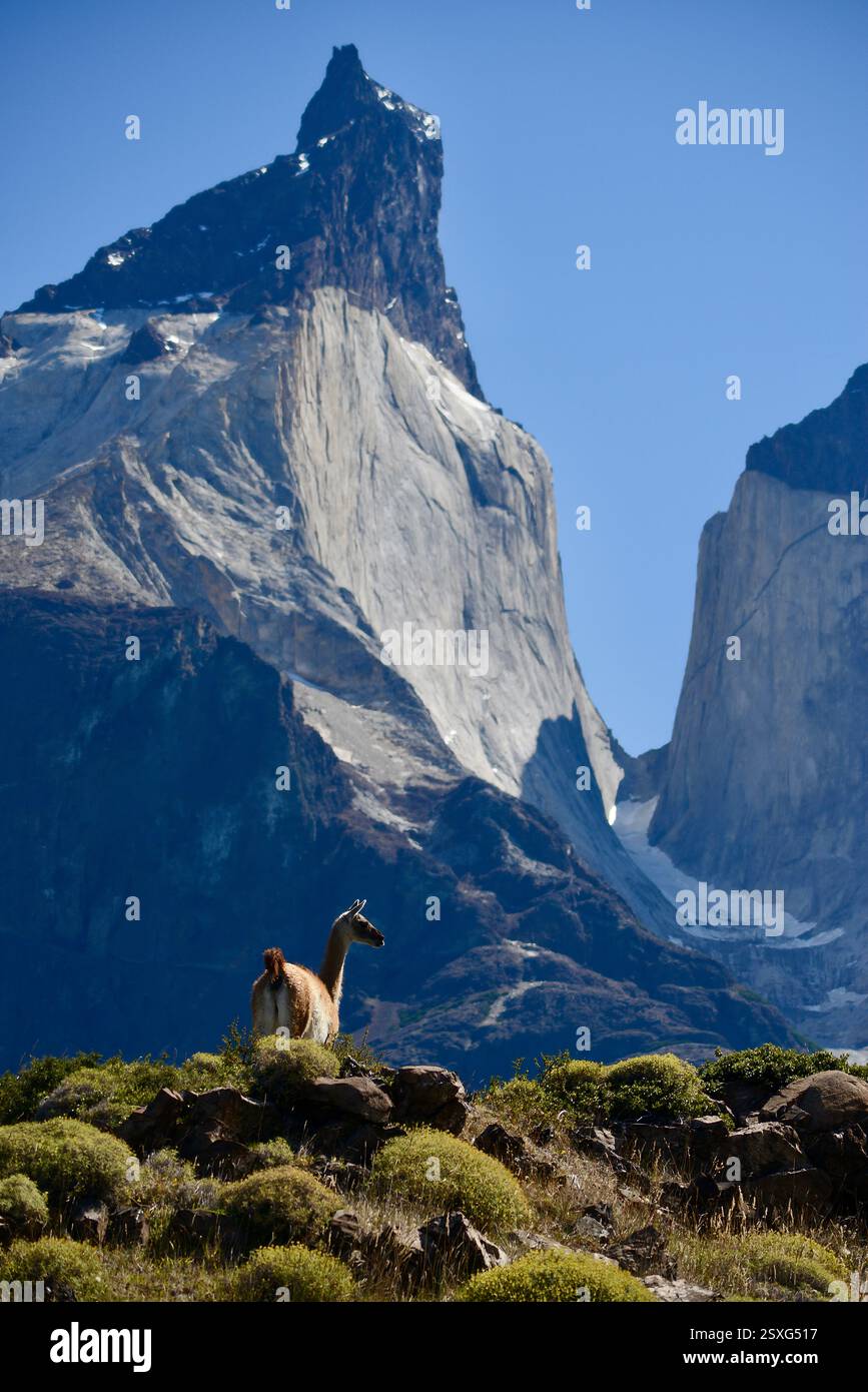 The awe inspiring Torres del Paine National Park in Chile Stock Photo ...