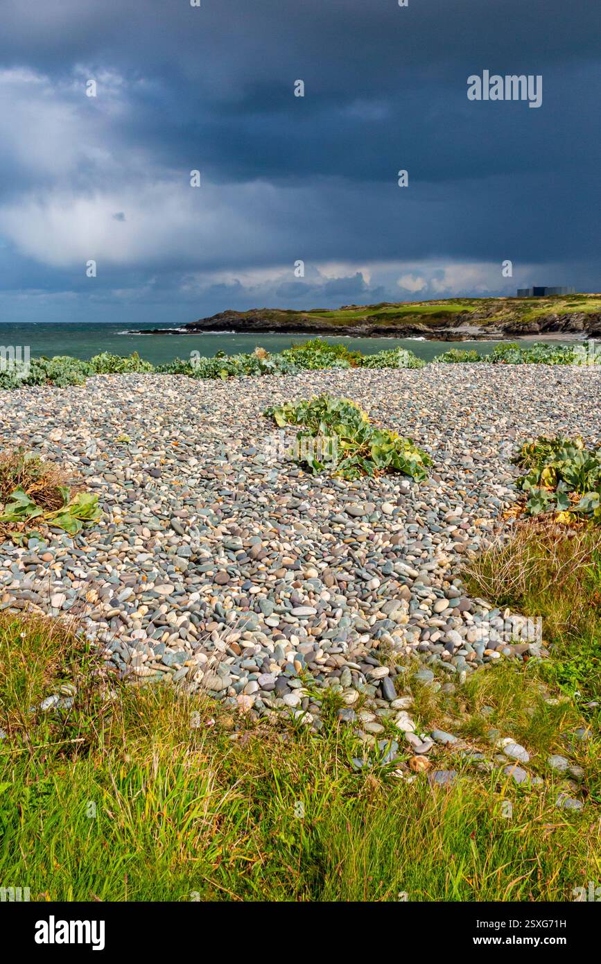 Stormy sky over the shingle beach at Cemlyn Bay an SSSI on the north ...