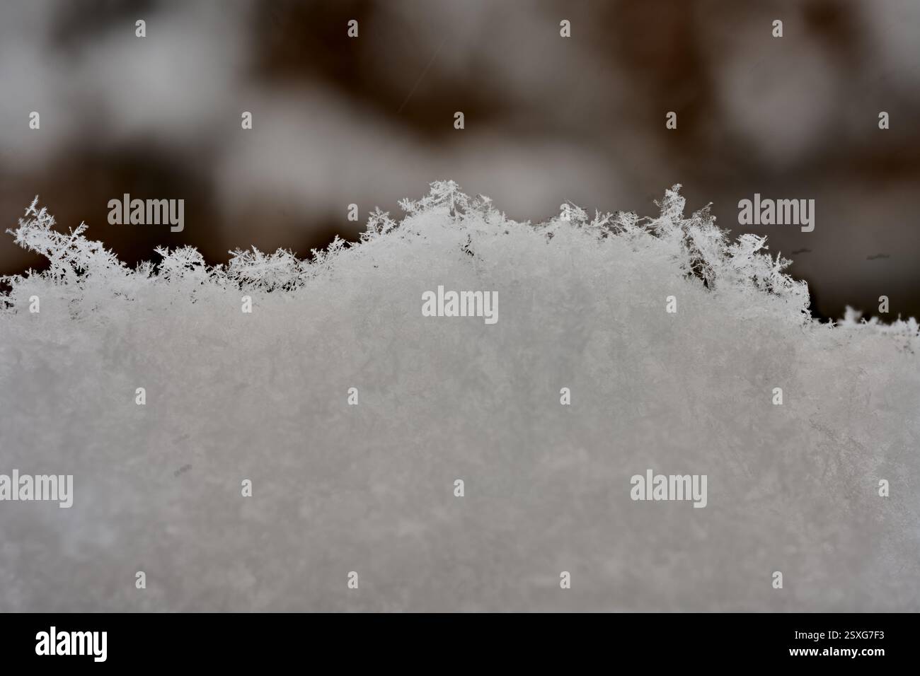 A macro photograph of snow at 1x magnification, focus stacked to reveal ...