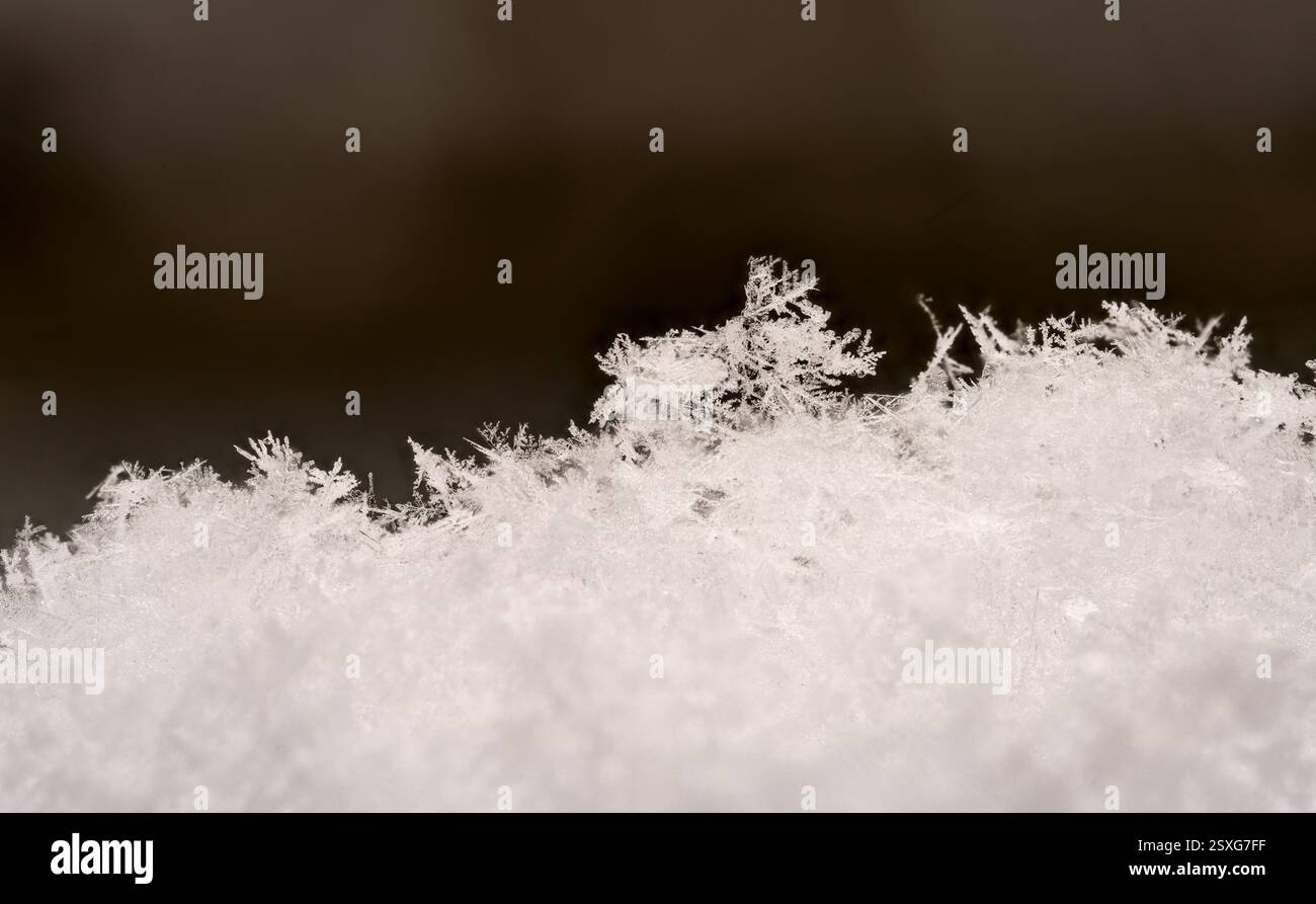 A macro photograph of snow at 1x magnification, focus stacked to reveal ...