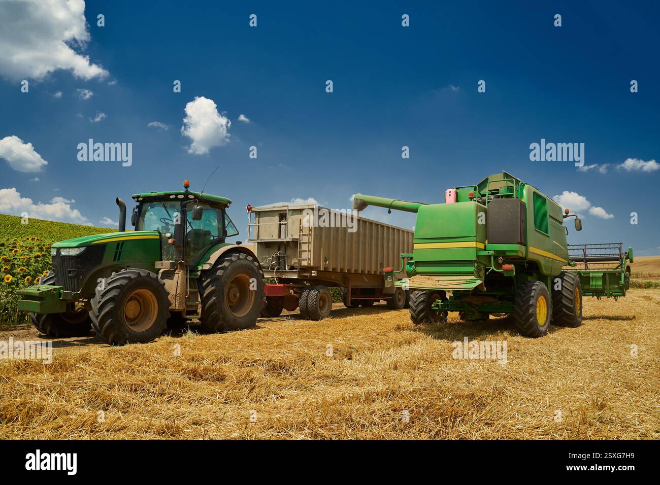 A combine harvester unloading grain into a tractor trailer during ...