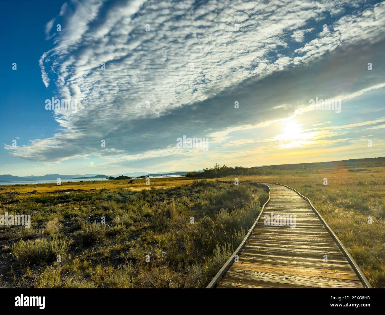 The wooden Mono Lake boardwalk meanders through a quiet, dry, grassy ...