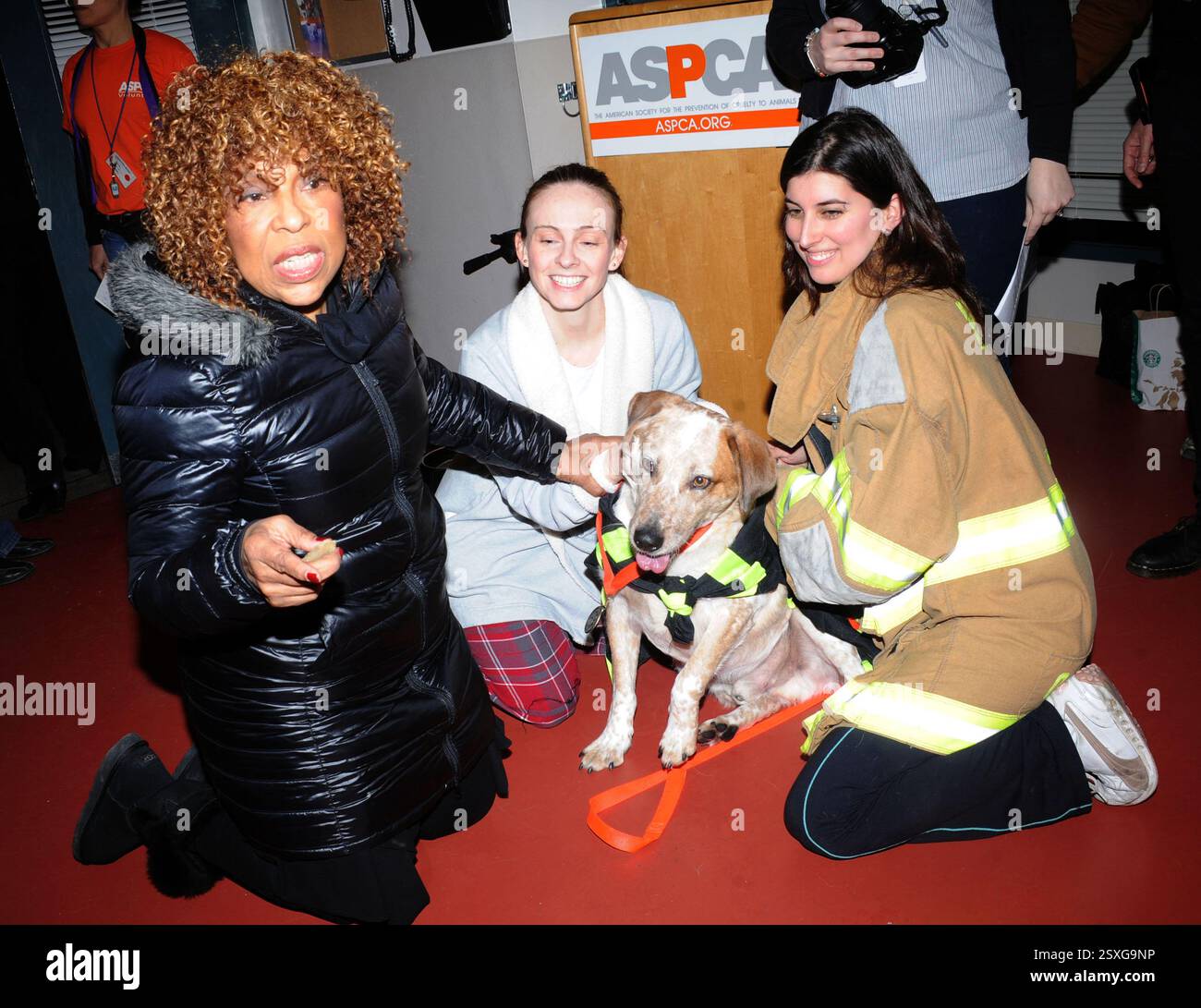 Roberta Flack at the 6th annual Prevention of Cruelty to Animals ...