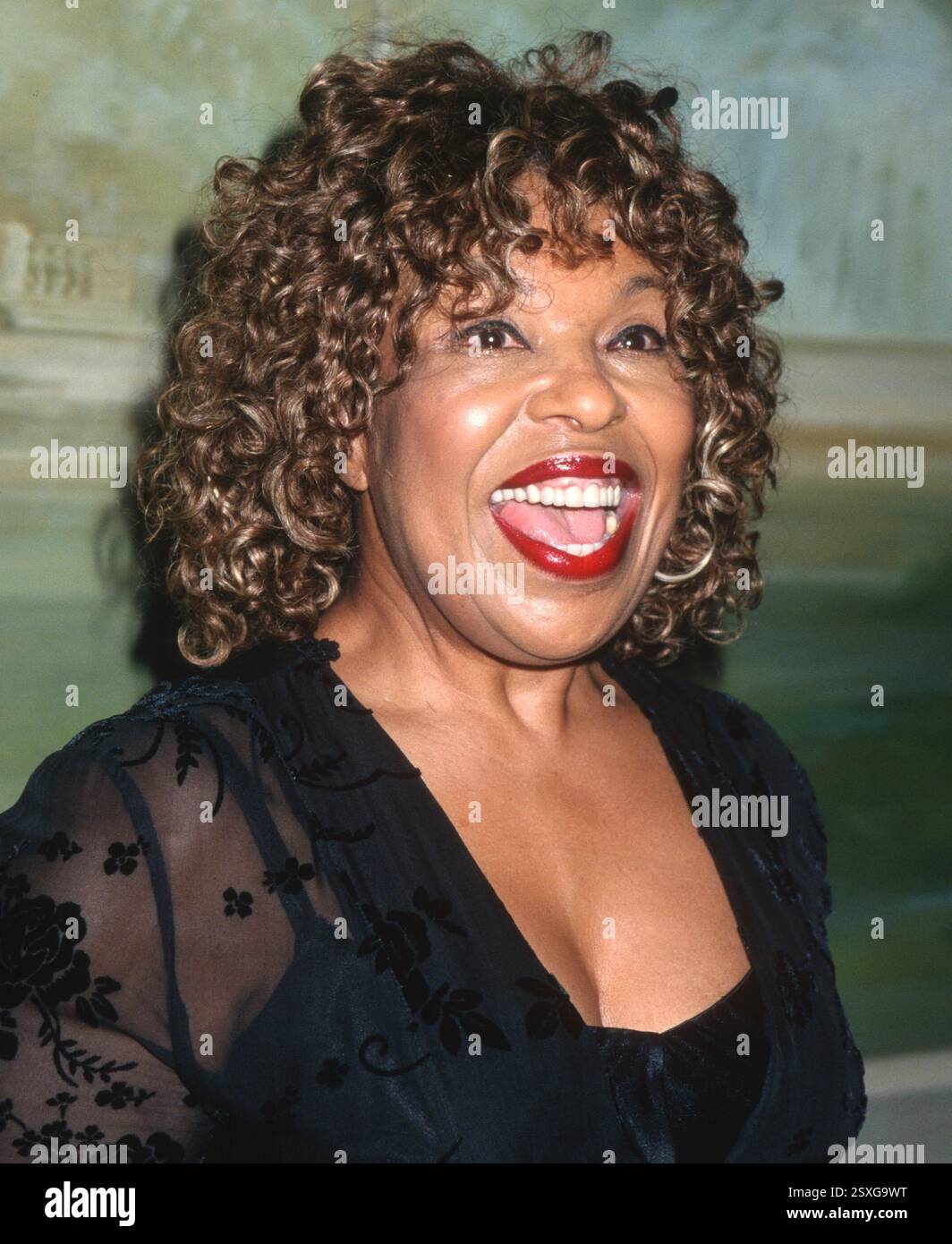 2000 Roberta Flack John Barrett/PHOTOlink.net/MediaPunch Stock Photo ...