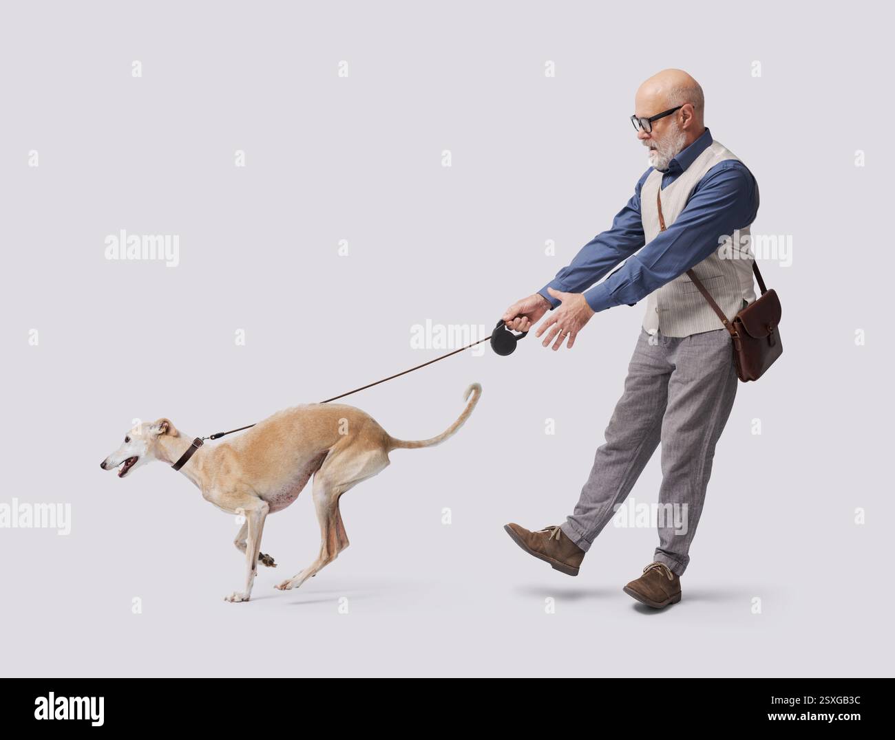Funny mature man walking a disobedient dog, the pet is running and ...