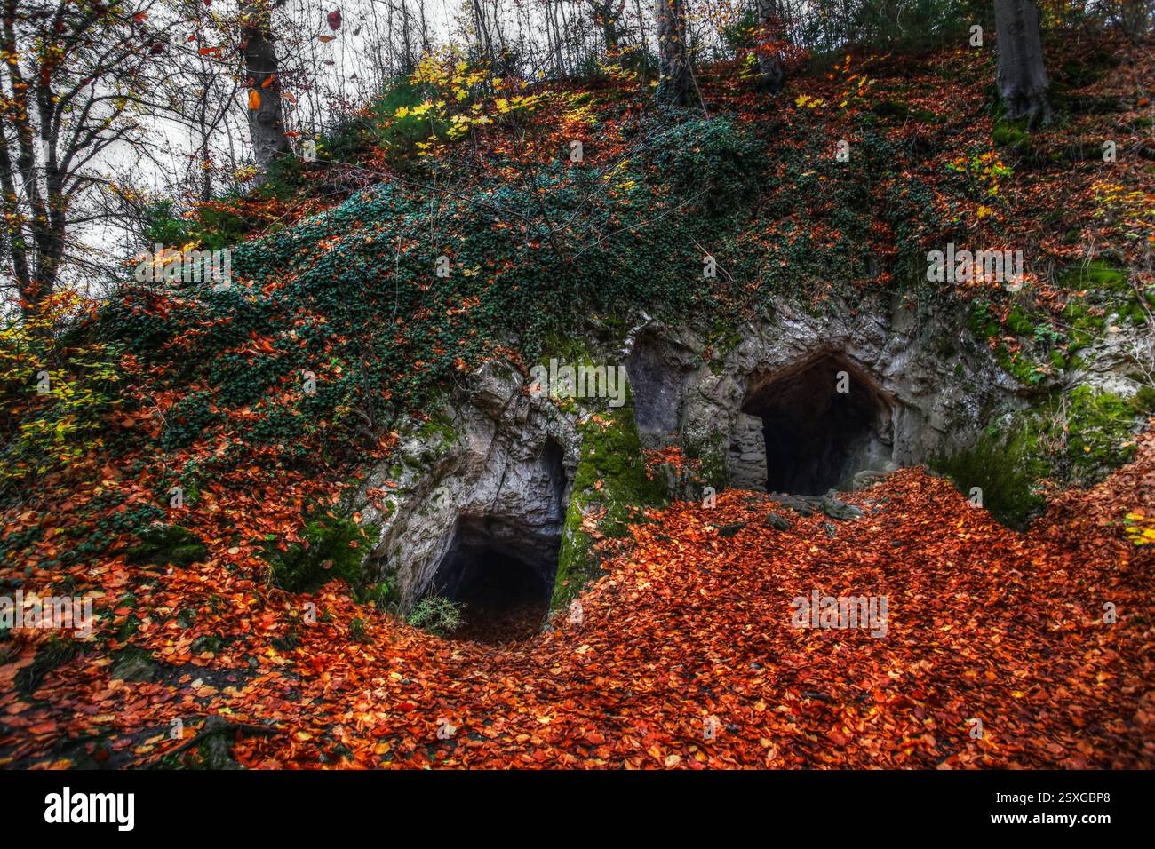 Leaf-covered entrance to hillside cave Volkmarskeller in the Harz ...