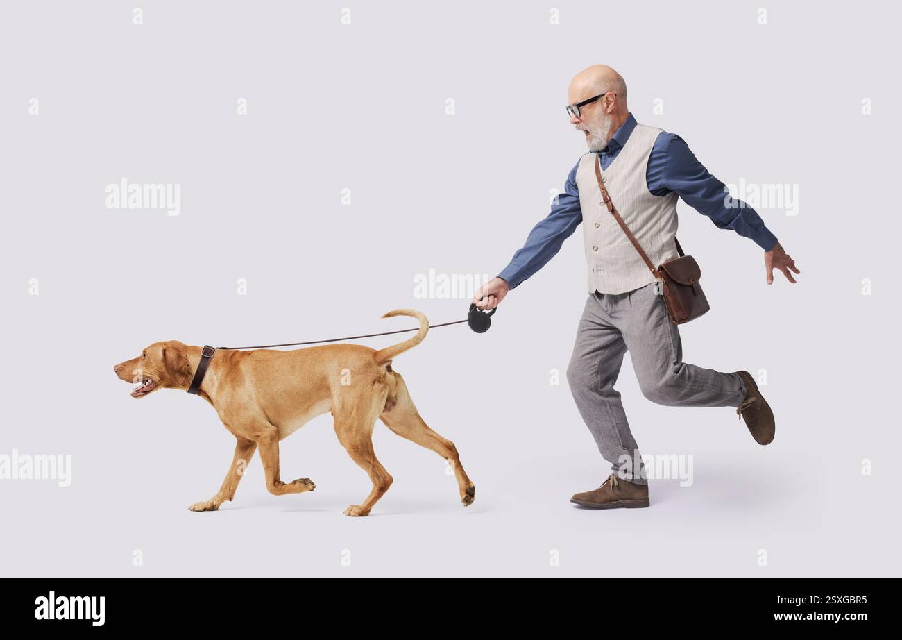 Funny mature man walking a disobedient dog, the pet is running and ...