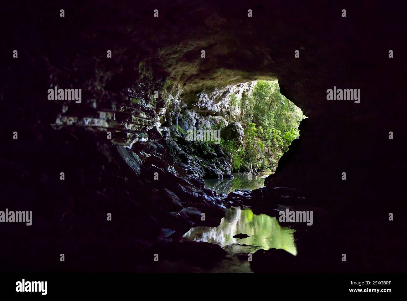 The Rio Frio Caves in the Mountain Pine Ridge Forest Reserve, Belize ...