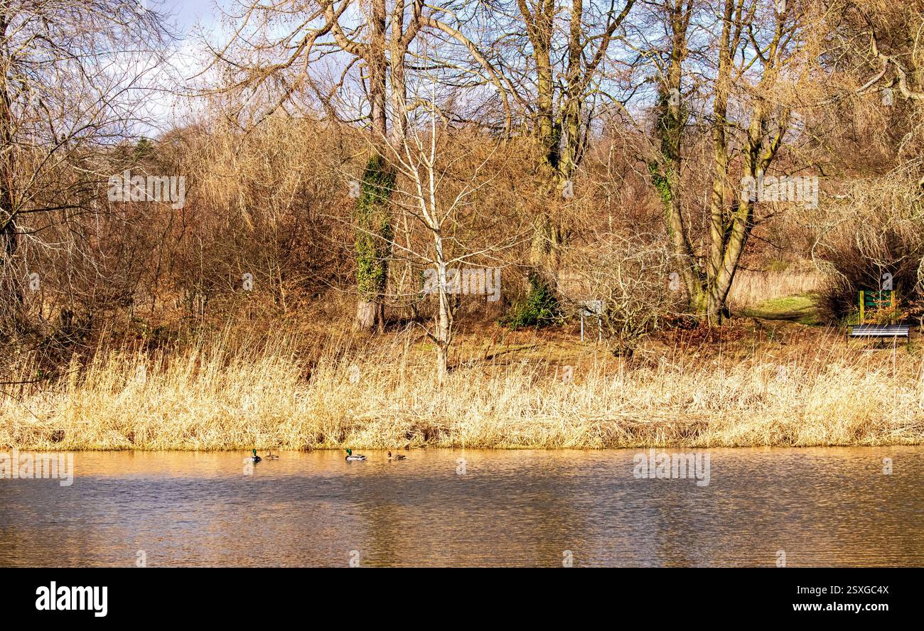 Dundee, Tayside, Scotland, UK. 24th Feb, 2025. UK Weather: Bright and ...