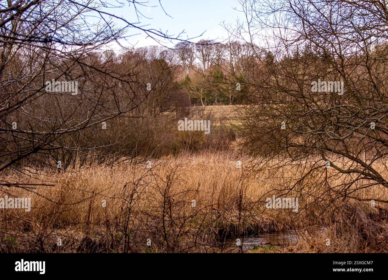 Dundee, Tayside, Scotland, UK. 24th Feb, 2025. UK Weather: Bright and ...