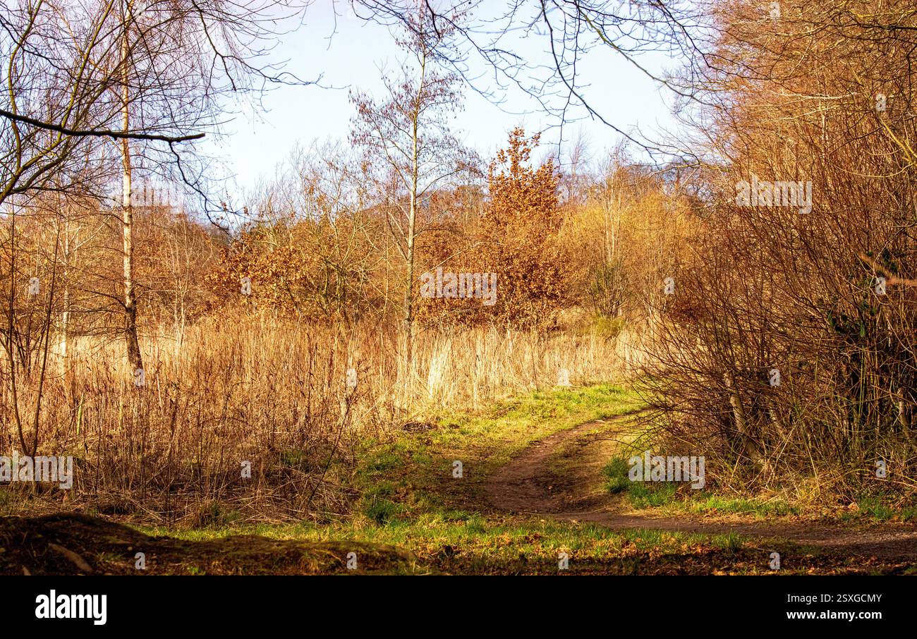 Dundee, Tayside, Scotland, UK. 24th Feb, 2025. UK Weather: Bright and ...