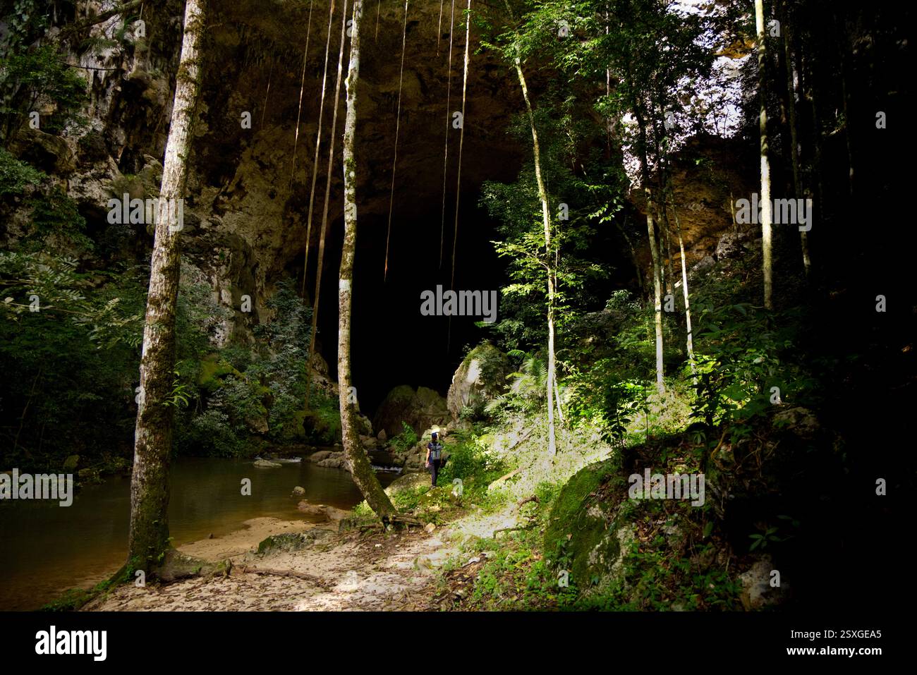 The Rio Frio Caves in the Mountain Pine Ridge Forest Reserve, Belize ...