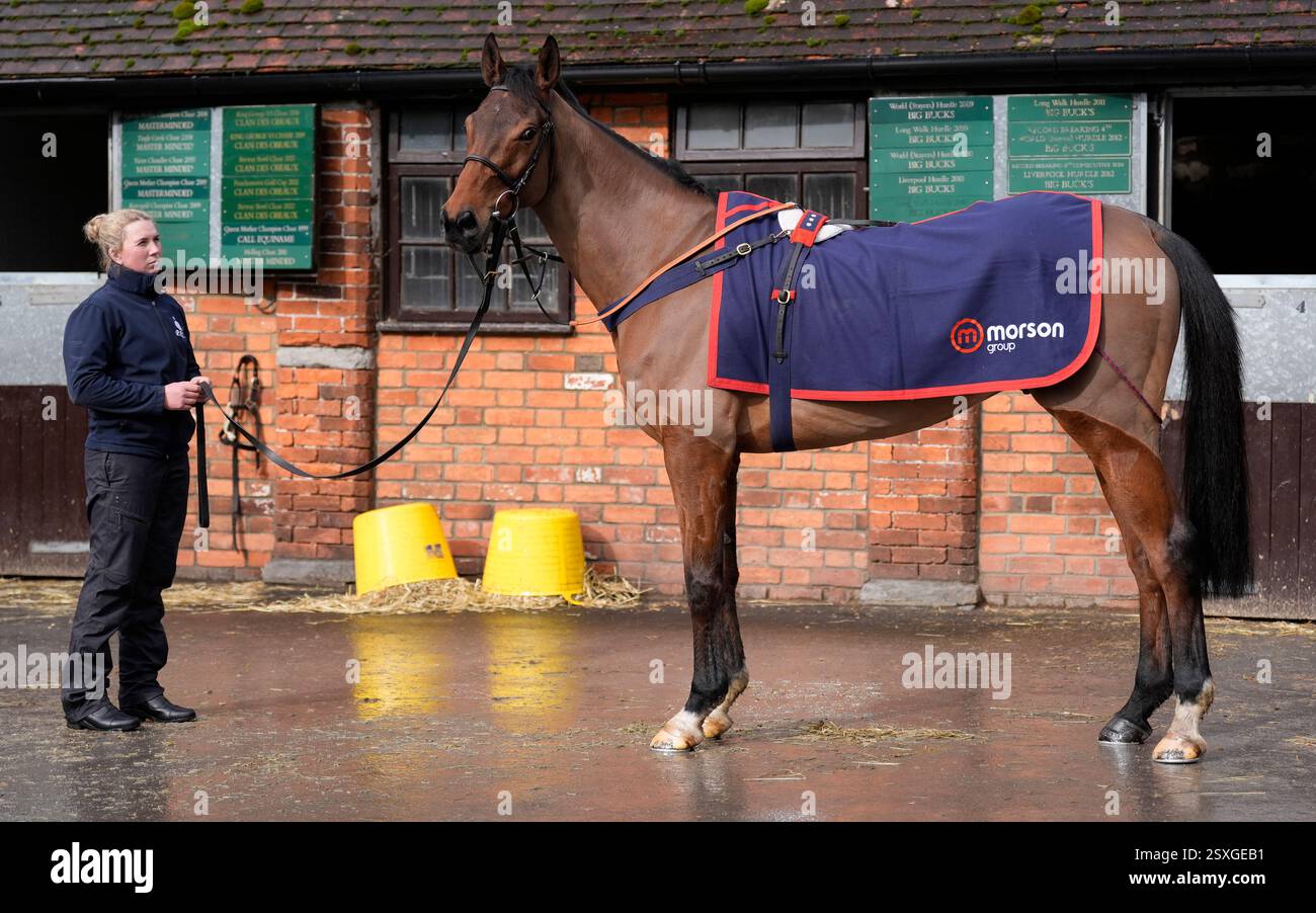 Shearer is paraded during a visit to Paul Nicholls' yard at Manor Farm ...