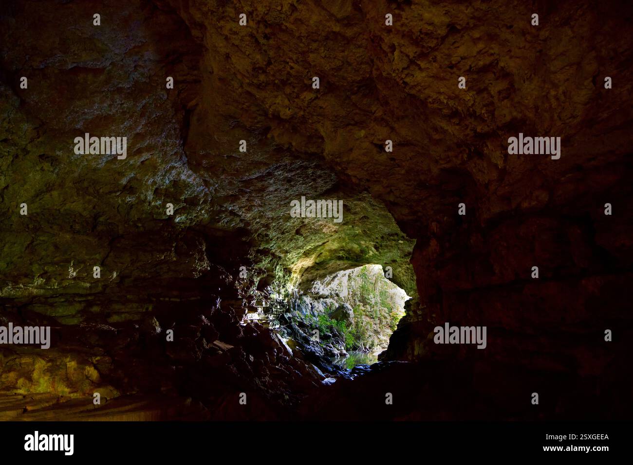 The Rio Frio Caves in the Mountain Pine Ridge Forest Reserve, Belize ...