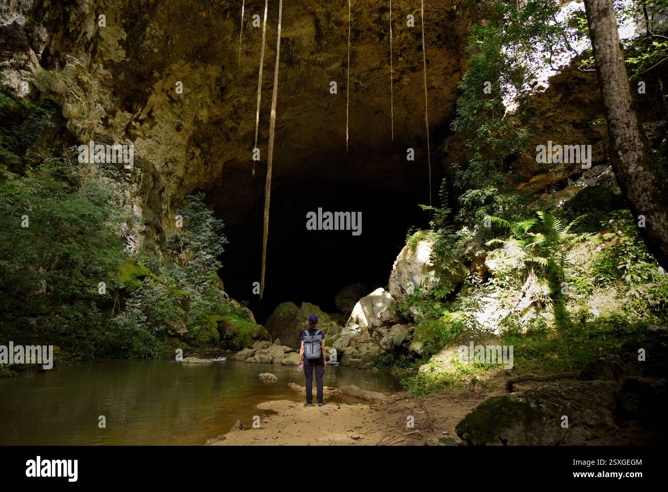 The Rio Frio Caves in the Mountain Pine Ridge Forest Reserve, Belize ...