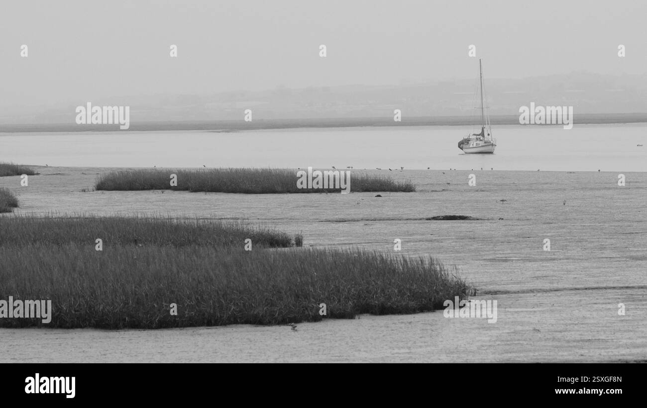 The swale yacht hi-res stock photography and images - Alamy