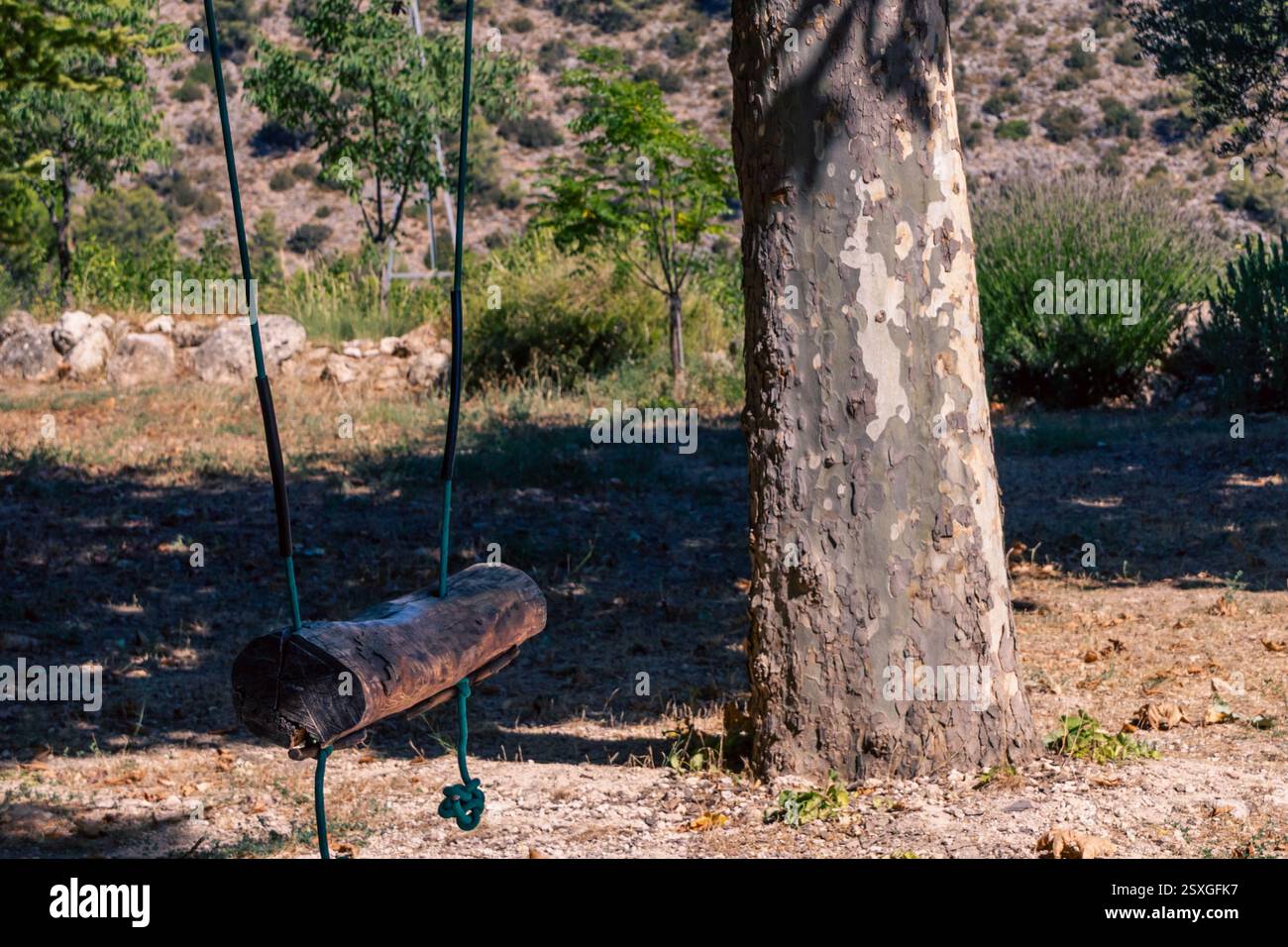 The photograph captures an old, weathered wooden log swing hanging from ...