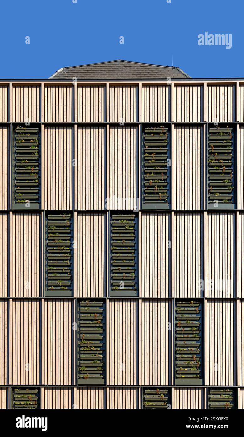 Wooden cladding of a windowless house facade with small plant troughs ...