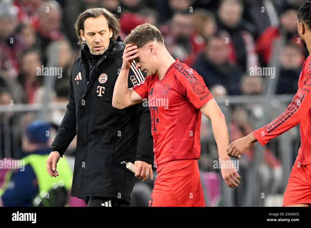 Fussball; Spieltag 23; 1. Bundesliga; Saison 2024/2025; FC Bayern ...