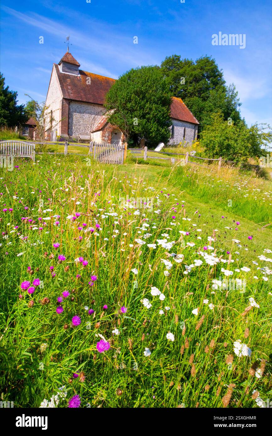 Wild flowers outside the Anglican St. Peters church in the West Sussex ...