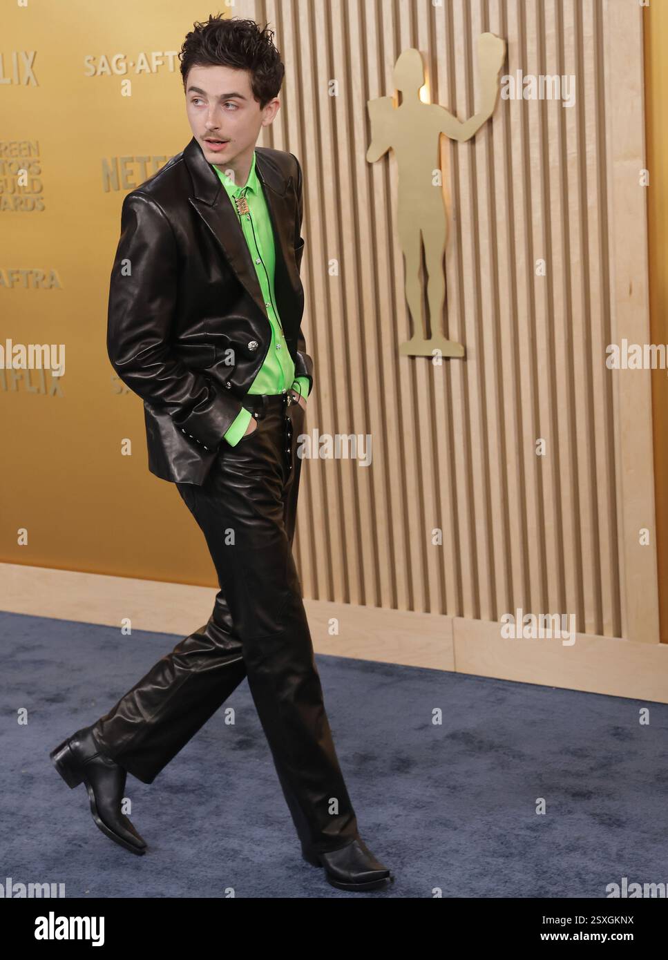 Timothée Chalamet attends the 31st Annual Screen Actors Guild Awards at Shrine Auditorium and ...