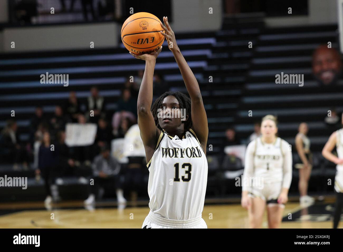 SPARTANBURG, SC - FEBRUARY 20: Wofford Terriers forward Toni Warren (13 ...