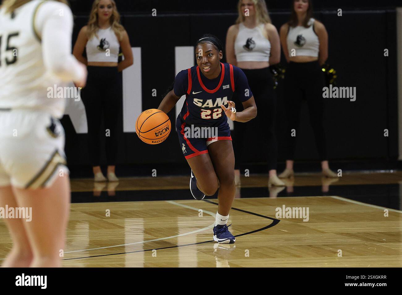 SPARTANBURG, SC - FEBRUARY 20: Samford Bulldogs guard Sierra Godbolt ...