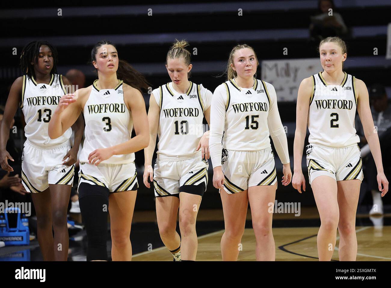 SPARTANBURG, SC - FEBRUARY 20: Wofford Terriers forward Toni Warren (13 ...