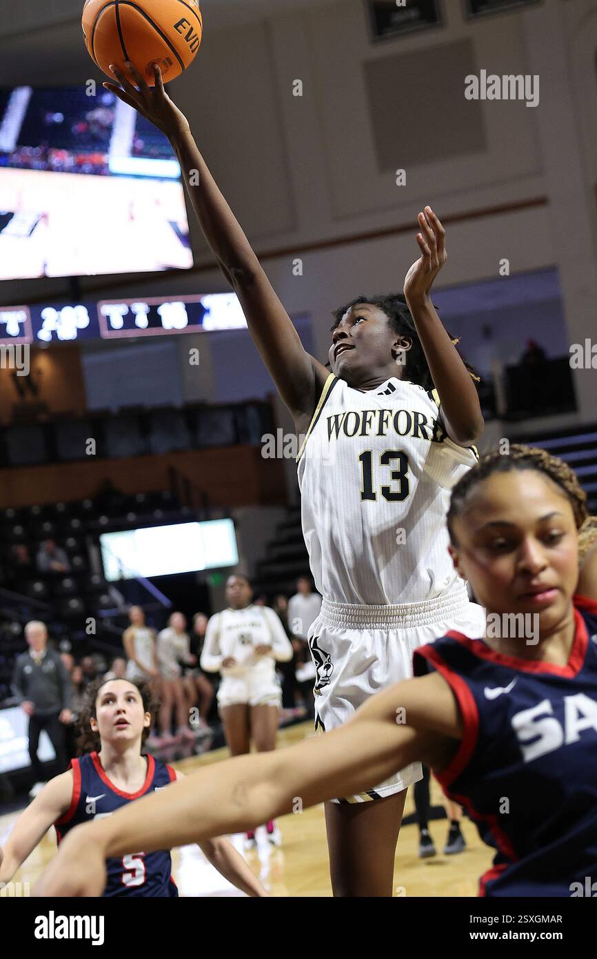SPARTANBURG, SC - FEBRUARY 20: Wofford Terriers forward Toni Warren (13 ...