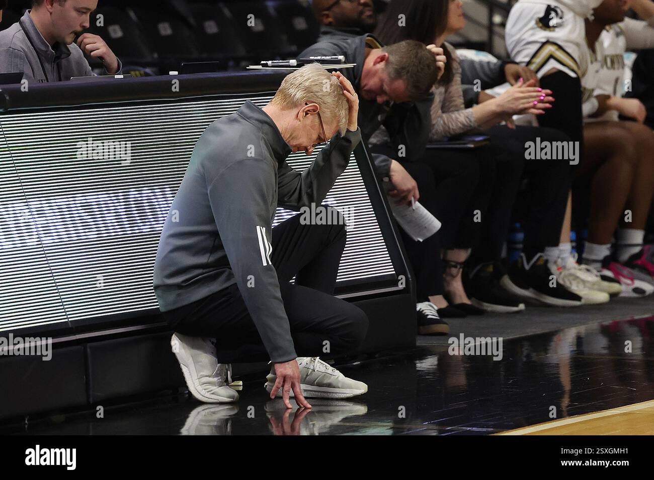 SPARTANBURG, SC - FEBRUARY 20: Wofford Terriers head coach Jimmy ...