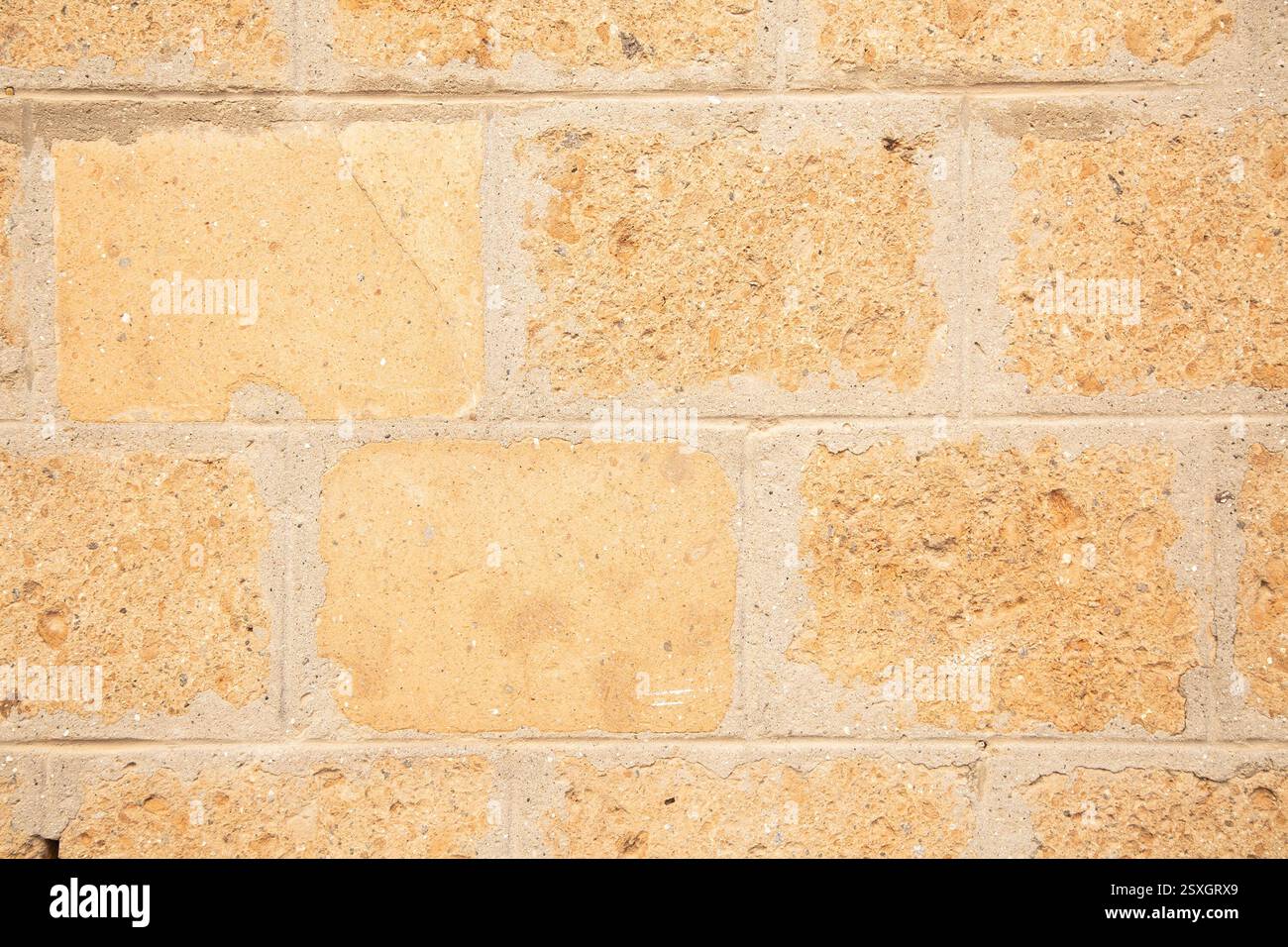 This image shows a detailed closeup of a brick wall with numerous ...