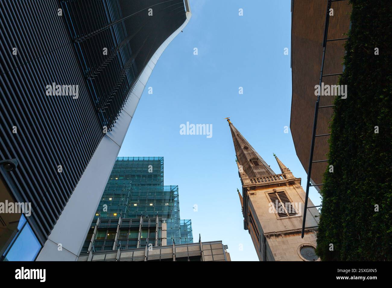 Contrast between modern skyscrapers and a historical church spire ...