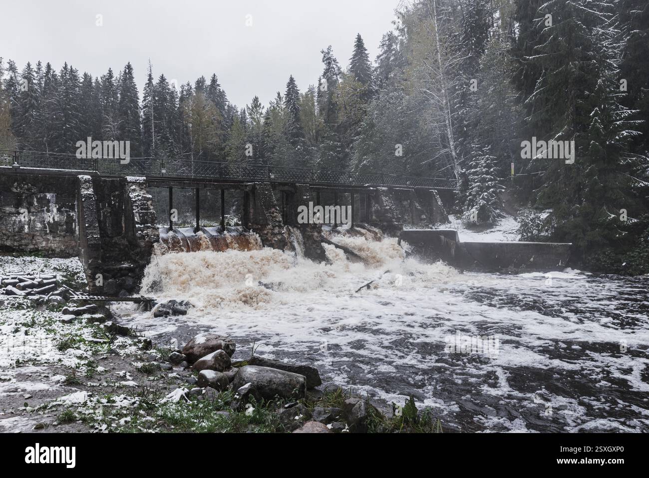 Lembolovo heights hi-res stock photography and images - Alamy