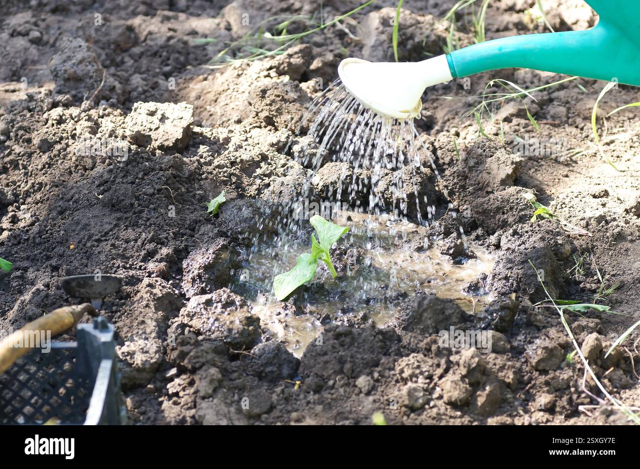 Water poured from garden hose hi-res stock photography and images - Alamy