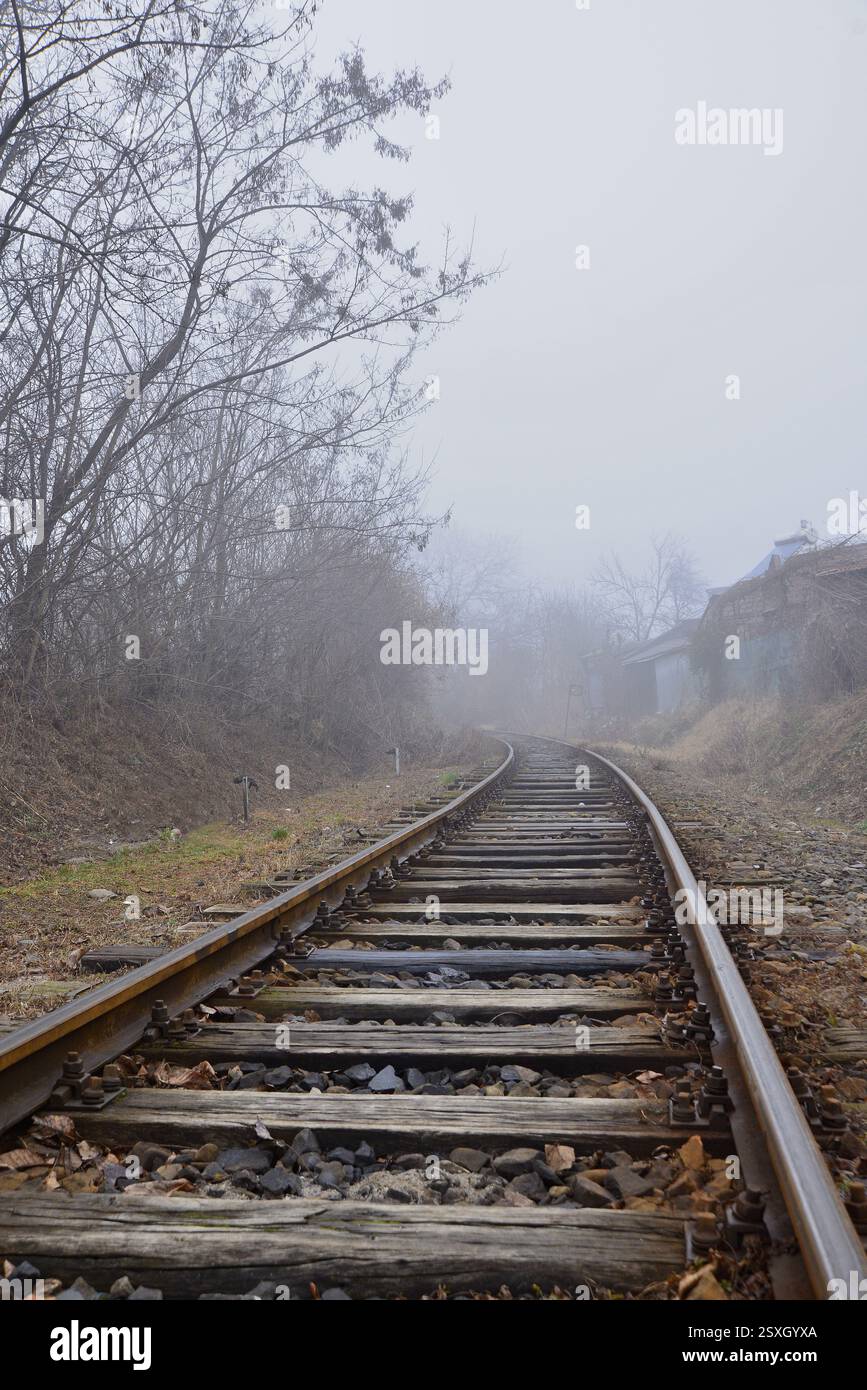Vertical shot nature in hi-res stock photography and images - Alamy