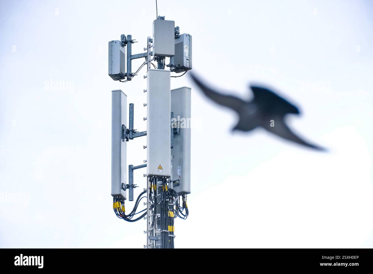 Düsseldorf 24.02.2025 Mobilfunk Mobilfunkmast 4G 5G 6G Antennen ...