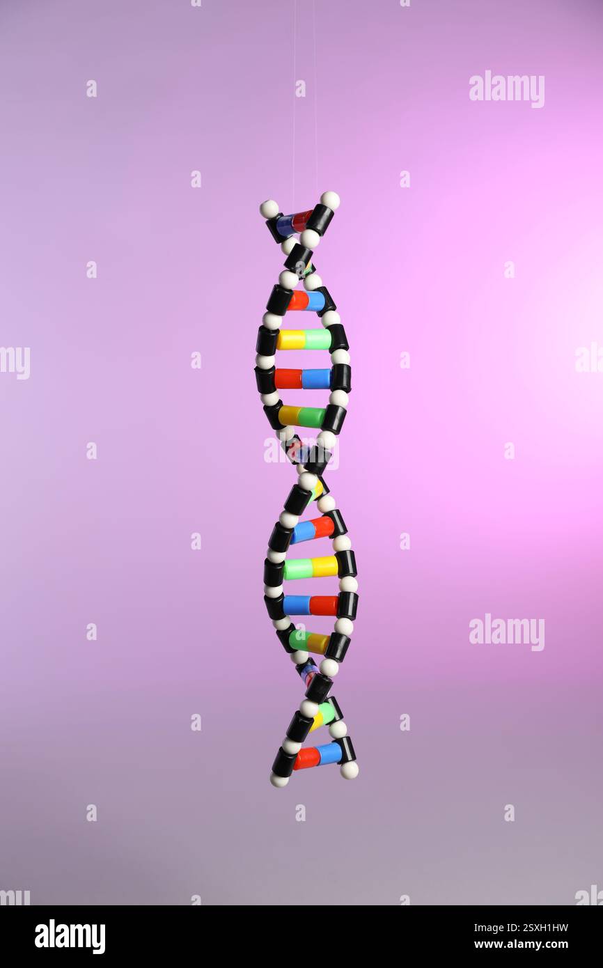 One DNA structure model on color background Stock Photo - Alamy