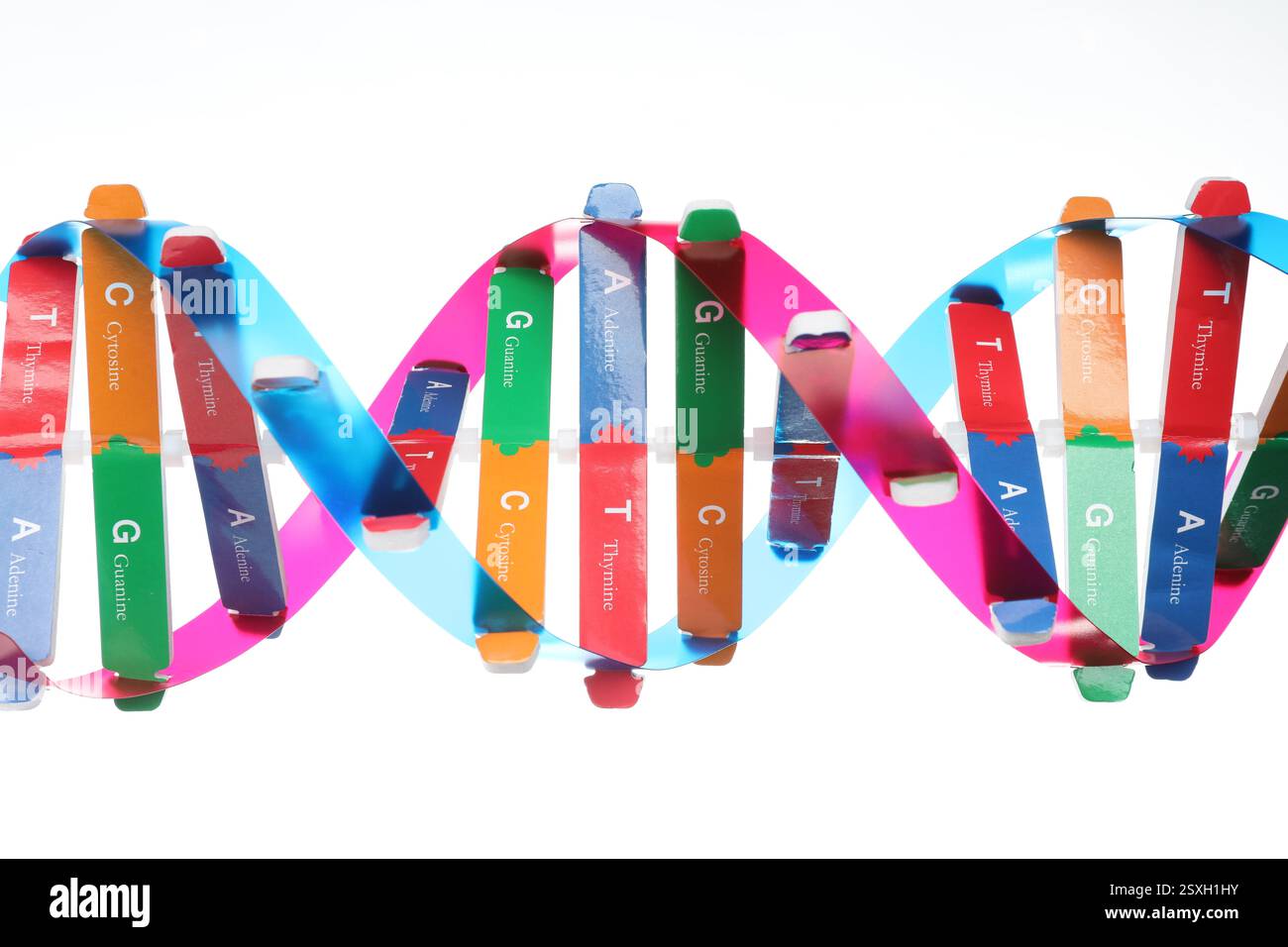 Colorful DNA structure model on white background Stock Photo - Alamy