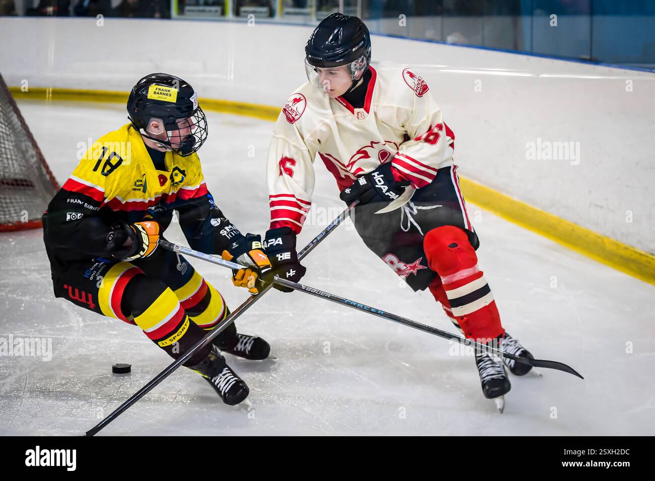 Billingham, National Ice Hockey League (N) Moralee Cup final 2ng Leg ...