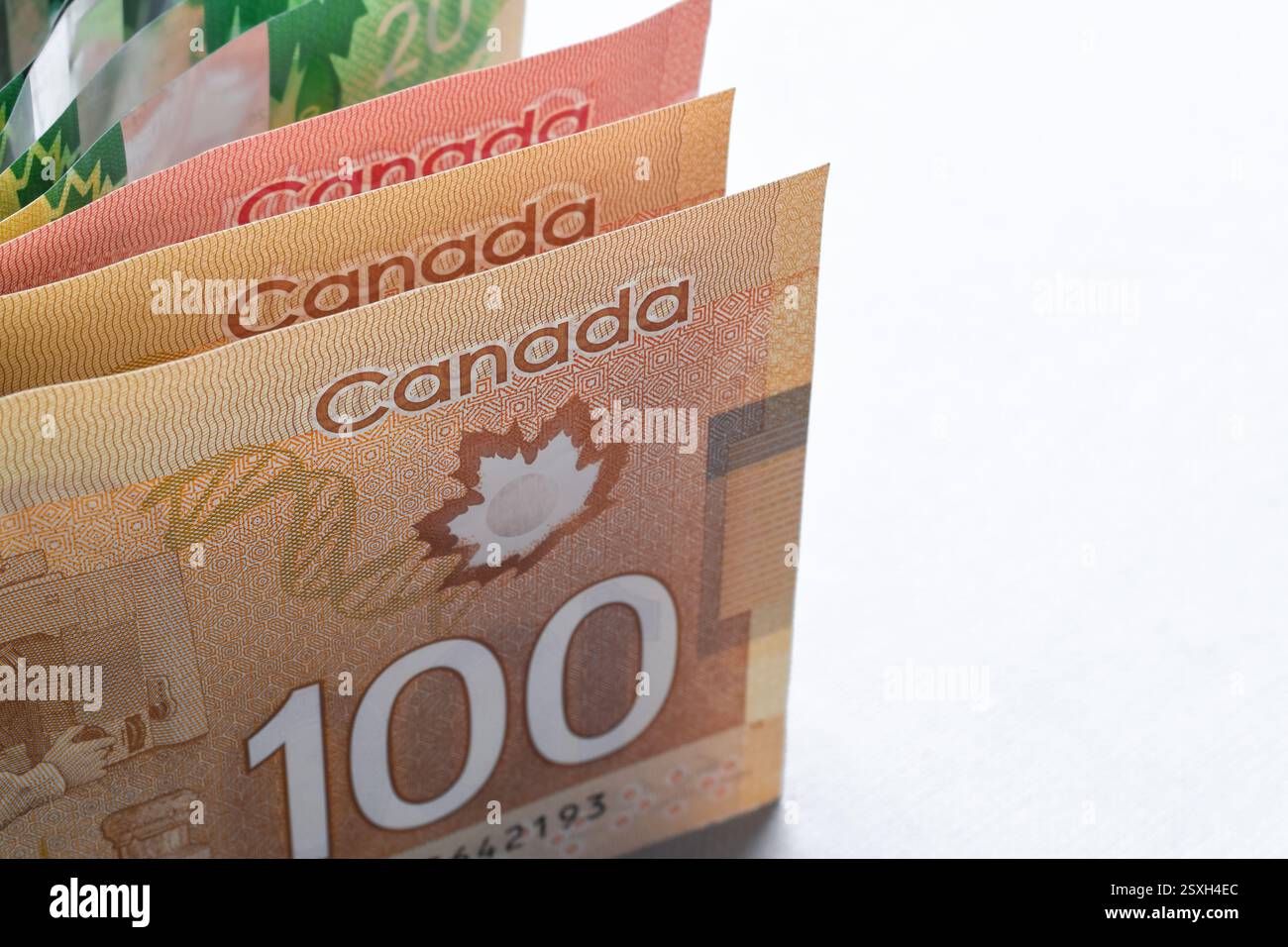Canadian money dollar bills standing up isolated cutout on white ...