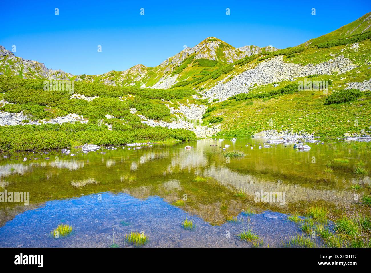At Bystra Mountain in the Tatras, Slovakia, a tranquil lake reflects ...