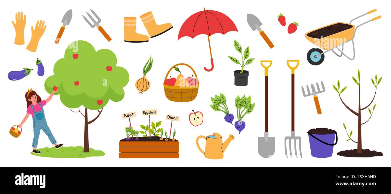 Engaging in gardening with tools, plants, and produce during a sunny ...