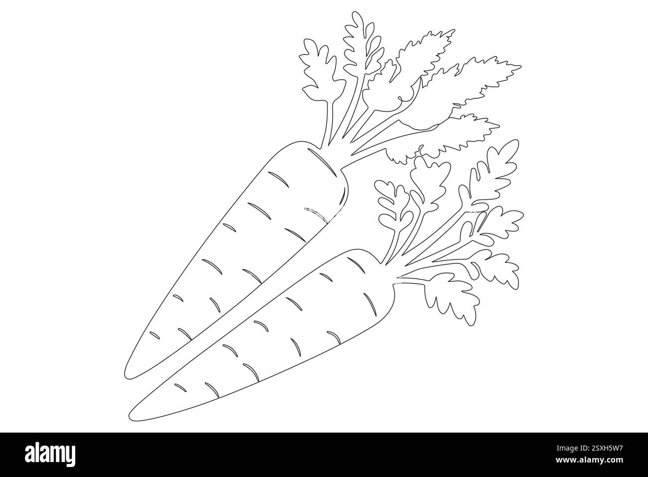 Carrot in one continuous line drawing of carrot vector illustration Pro ...