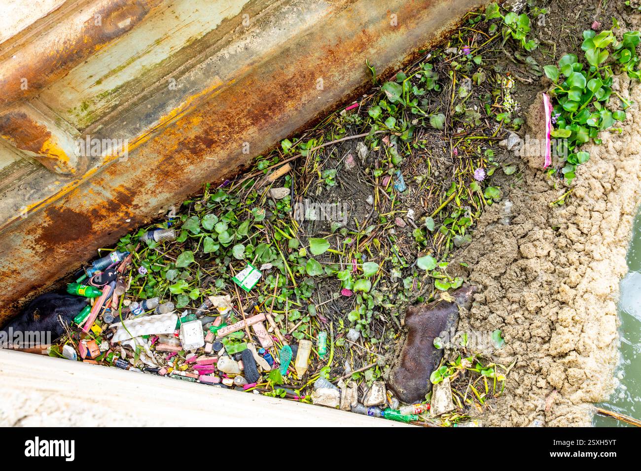 Plastic waste and a dead animal float on the polluted waters of the ...