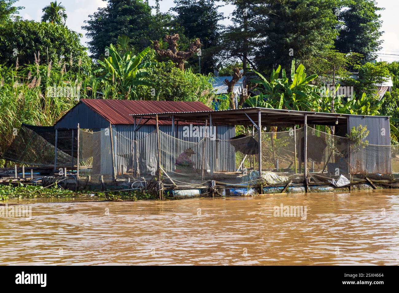 A person wearing a conical hat sits in a waterside fish farm hut ...