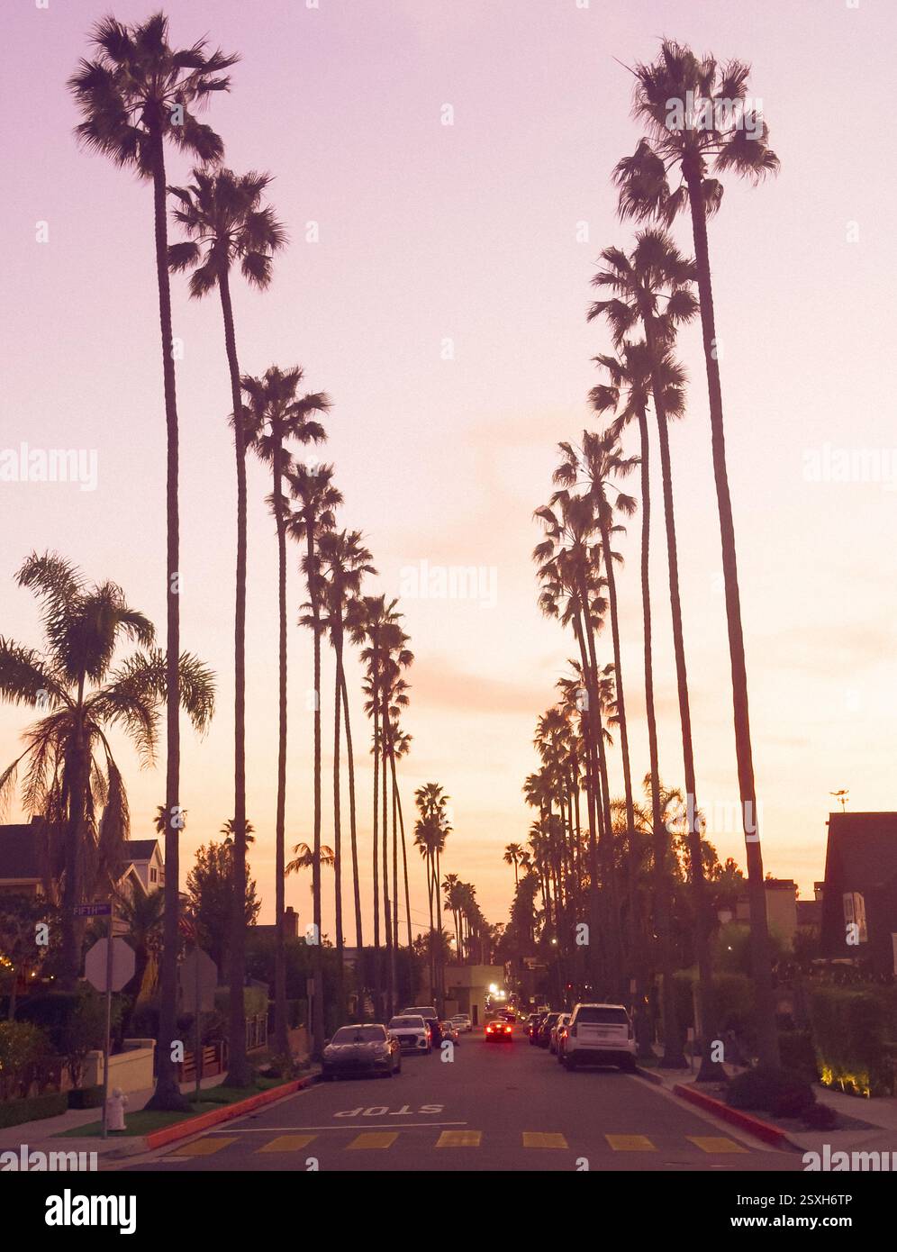 Palm tree lined street in California at sunset Stock Photo - Alamy