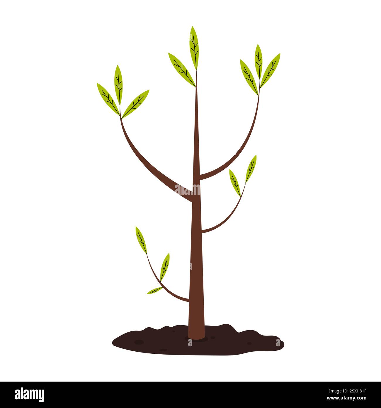 Young tree with green leaves growing in rich soil during springtime ...